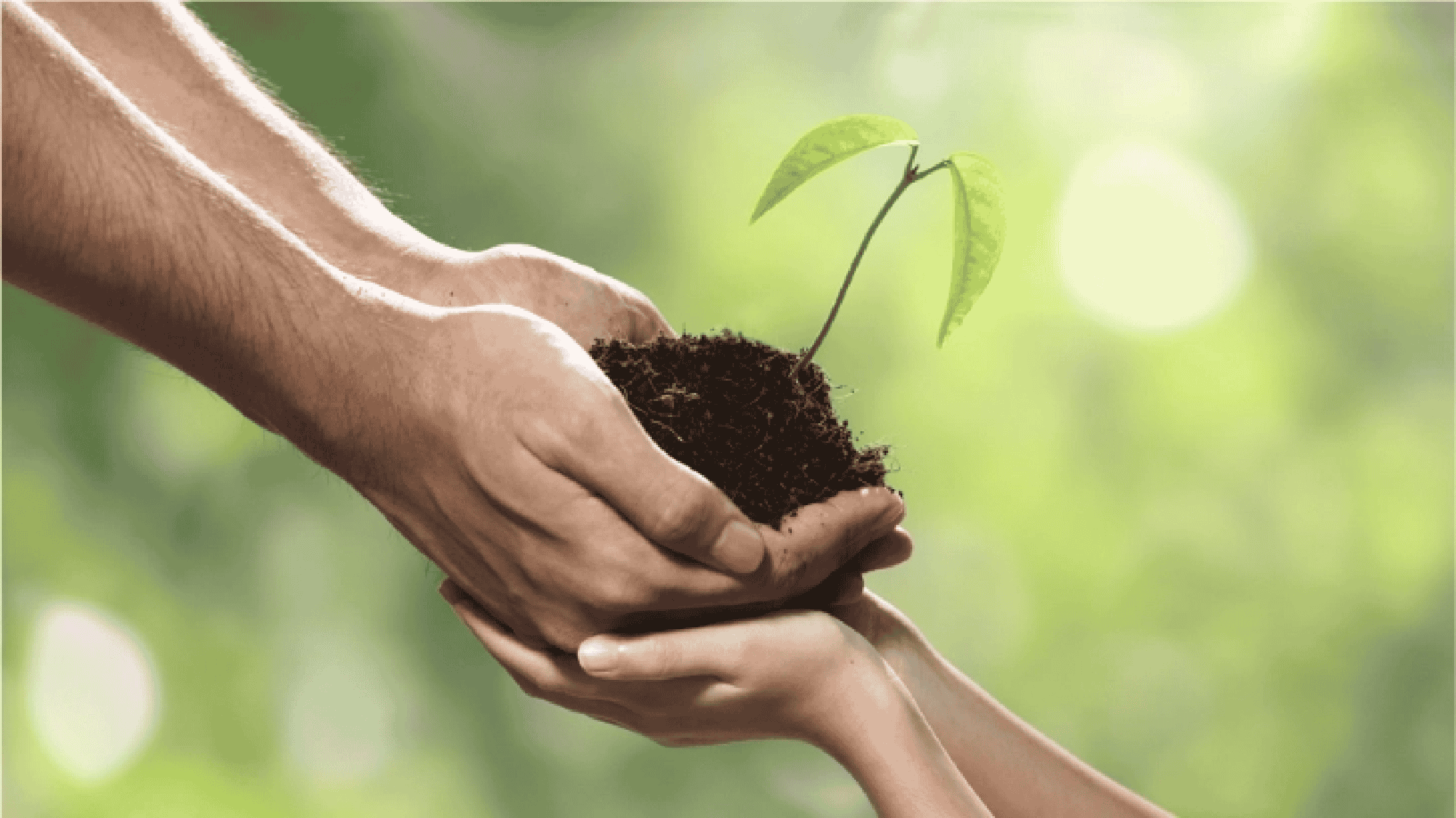 Our Pledge To Sustainability - Eva-Last UK